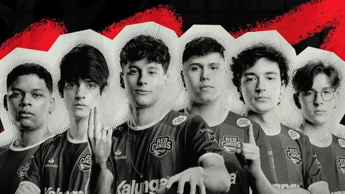 Conheça a Red Canids, a tricampeã brasileira de LOL