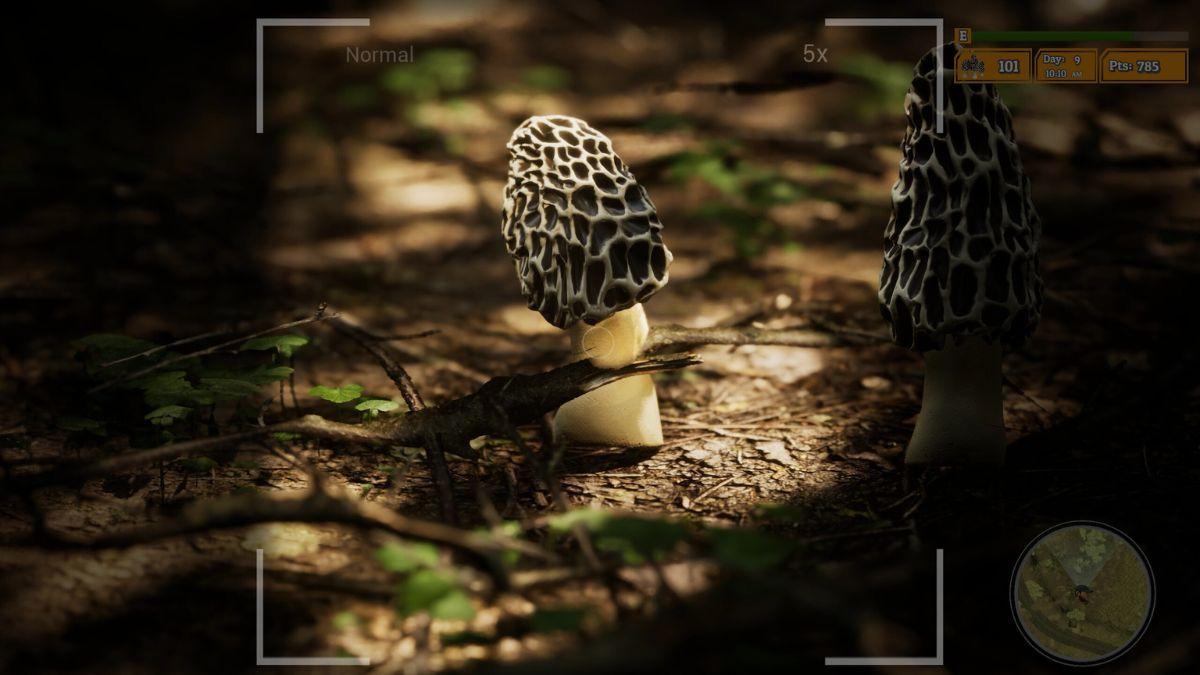 Review | Morels: The Hunt 2