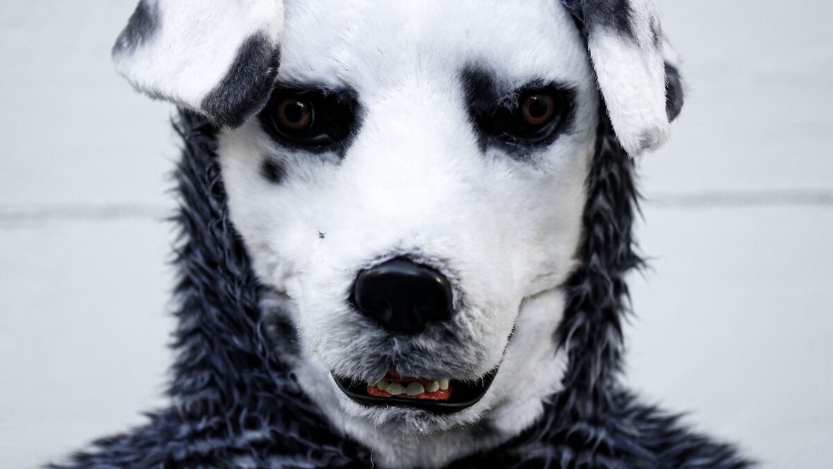 Crítica de Terror | “Good Boy” transforma submissão e poder em puro ...